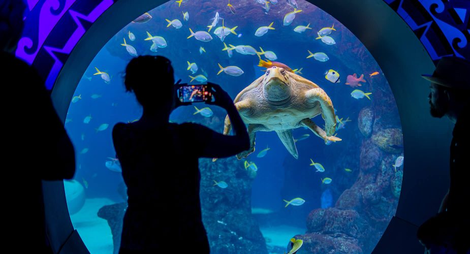 The Florida Aquarium Tickets | The Florida Aquarium