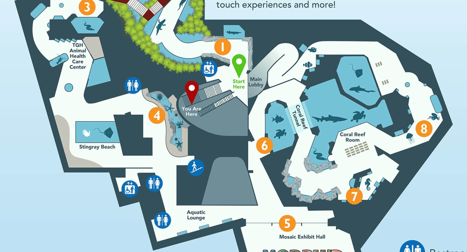 Plan Your Visit | Tampa Aquarium Hours | The Florida Aquarium