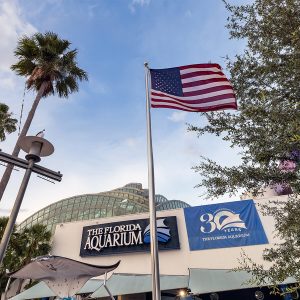 The Florida Aquarium Tickets | The Florida Aquarium
