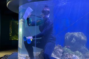 Aquarium Careers | The Florida Aquarium