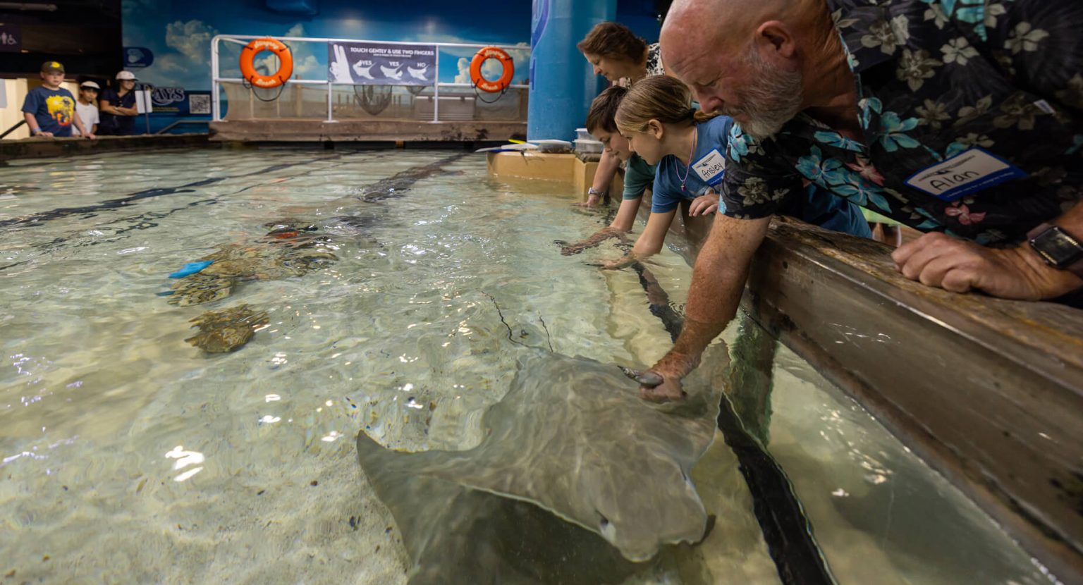Stingray Feeding Experience | The Florida Aquarium