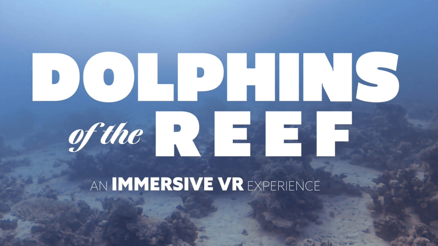 Undersea Explorer Virtual Reality | The Florida Aquarium