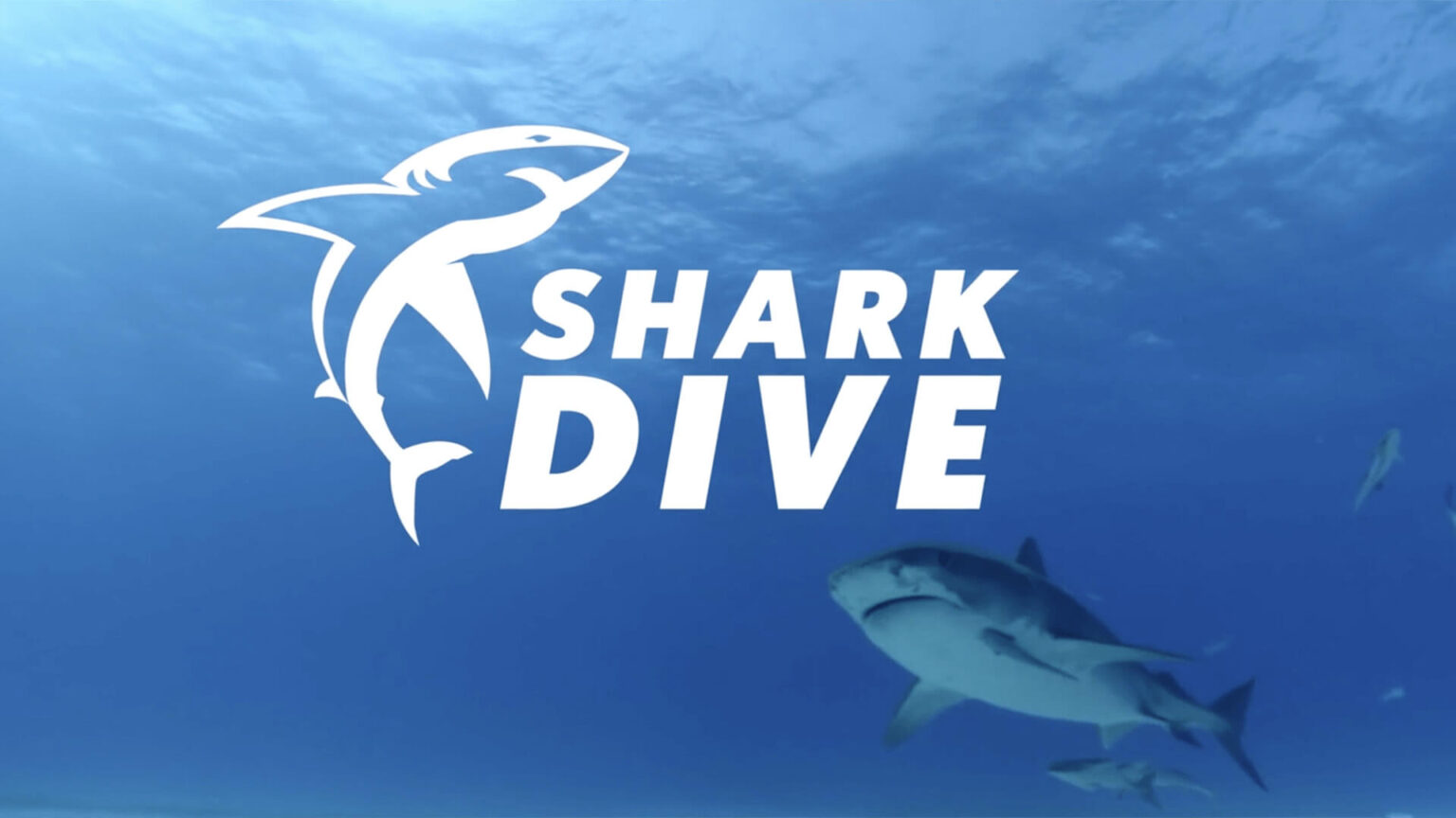 Undersea Explorer Virtual Reality | The Florida Aquarium