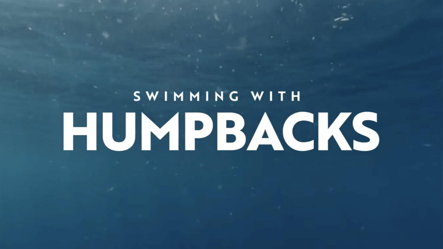 Undersea Explorer Virtual Reality | The Florida Aquarium